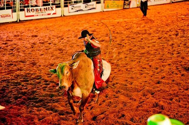 Rodeio de mini touro abrilhanta o terceiro dia da 36ª Expotrês ...