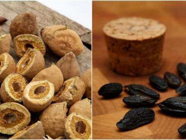 Guariroba ou gabiroba? Cumaru ou Cumbaru? Ingredientes que mudam por 1 ...