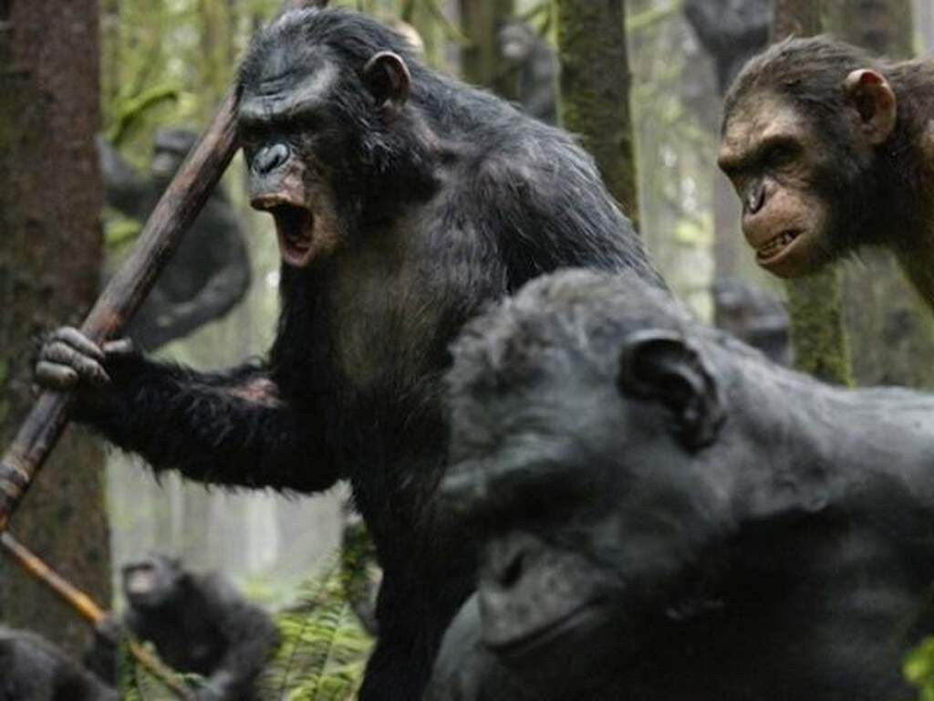 Cinema tem retorno do Poderoso Chefão e Planeta dos Macacos - Artes ...