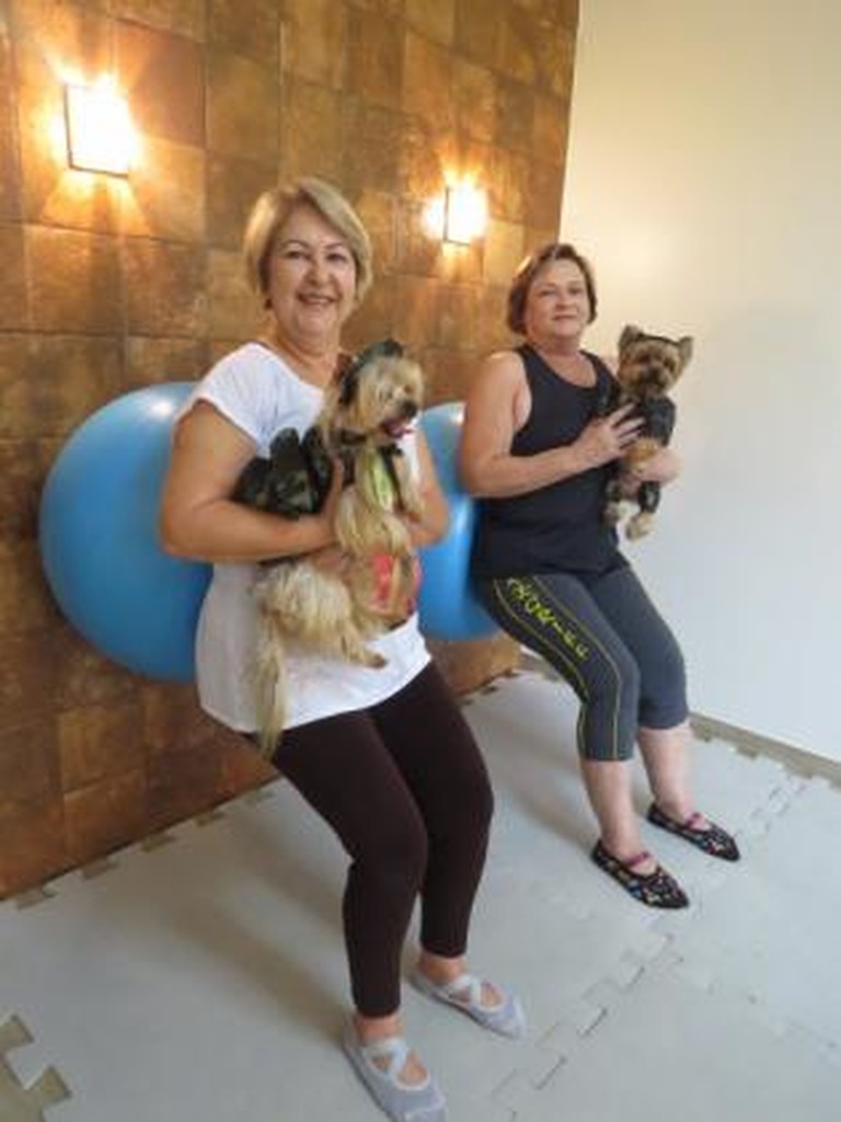 Pilates para Cães: Exercícios com Donos em Campo Grande MS - Studio ...
