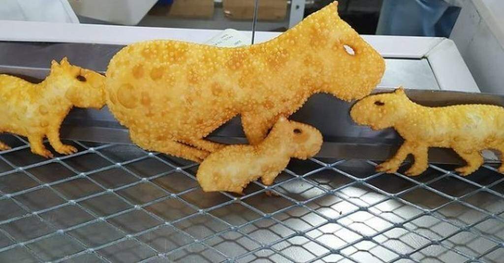 Pastel e coxinha em formato de capivara bombam na internet - Sabor ...