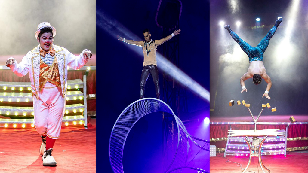 Super Star Circus em Campo Grande: Ingressos, Horários e Atrações ...