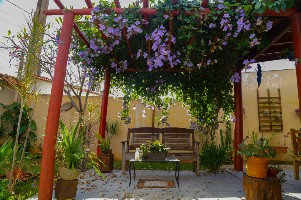 Will herdou amor por plantas da avó e hoje cultiva quintal cheio de cor ...