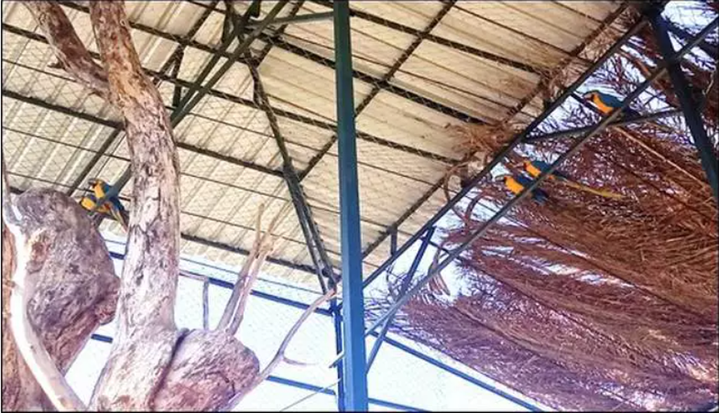 Juíza aponta insignificância e absolve Fahd Jamil por viveiro de aves ...