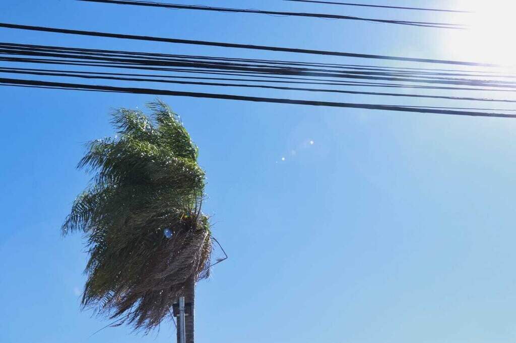 Capital registra ventos de até 60 km/h e baixa umidade do ar - Meio ...