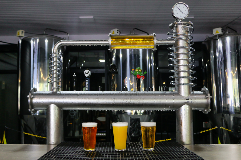 Hop Panda, conheça o novo lugar da cultura cervejeira - Conteúdo ...