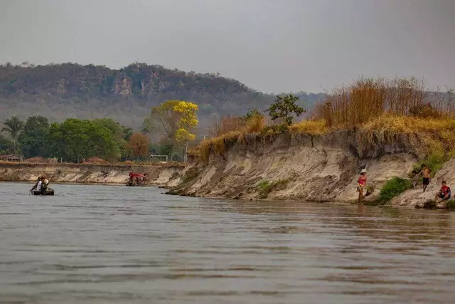 Em MS, projeto pretende reflorestar 2 mil hectares de vegetação no Alto ...