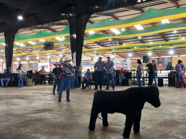 Competição de Laço Comprido Infantil em Campo Grande MS | Vaca Parada ...