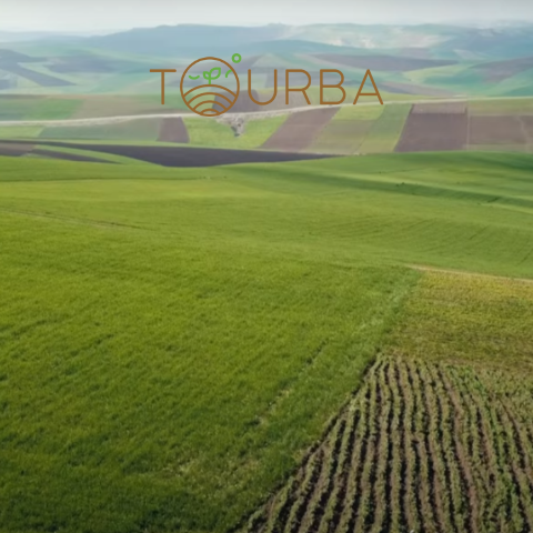 Agricultura de Carbono: Iniciativa Tourba no MS e PR e Impacto Climático