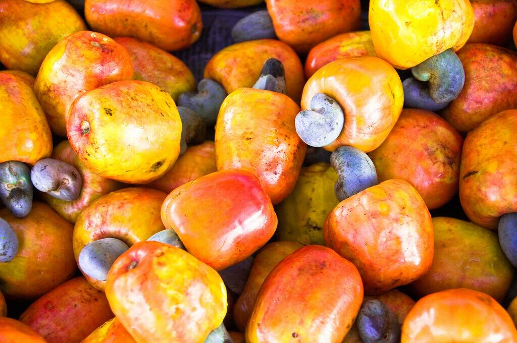 Gostou do Caju de Liniker? Fruta é completa e ainda está na estação ...