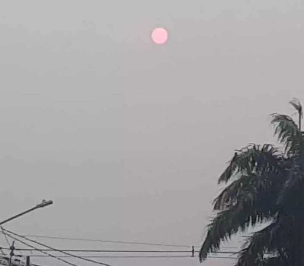 Sol vermelho, a beleza no céu da Capital influenciada pela seca e ...