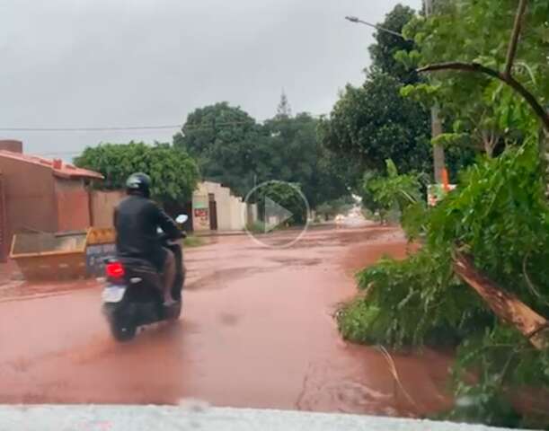 Chuva Forte Alaga Ruas Do Jardim Colúmbia Em Poucos Minutos Capital