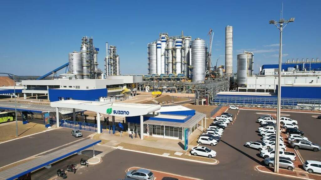 Produtoras de celulose em MS estão na lista de 10 indústrias mais ricas ...