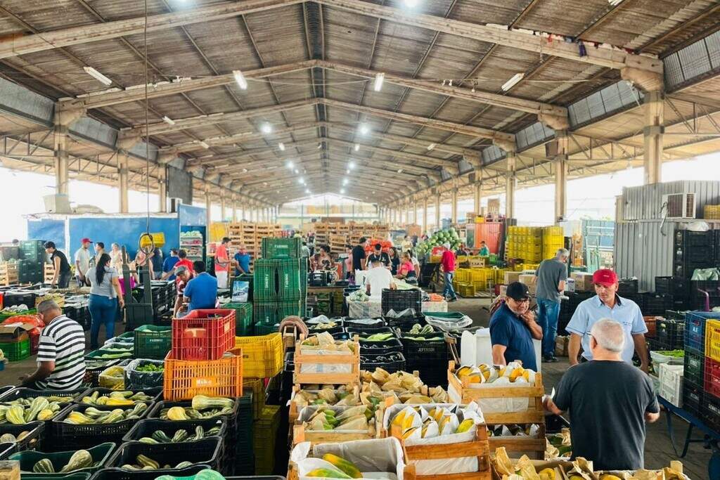 Ceasa-MS lança projeto inovador para combater desperdício de alimentos ...
