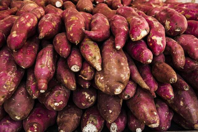 Preços na Ceasa: batata-doce sobe 16,6% e banana-prata fica mais barata