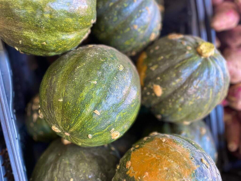 Abóbora e pepino têm queda de preço na Ceasa-MS em novembro